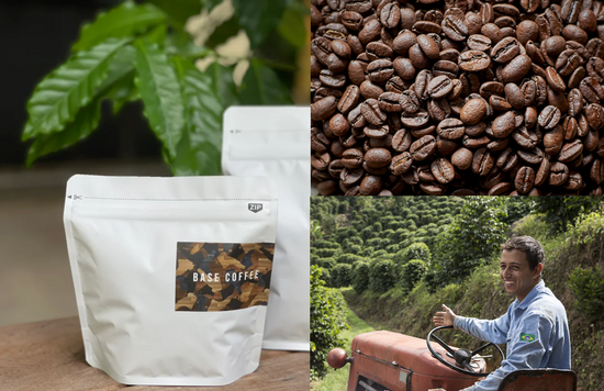 單一產區烘焙咖啡豆(巴西), 淨重100公克 | Single-origin Roasted Coffee Beans (Brazil), – Kagura